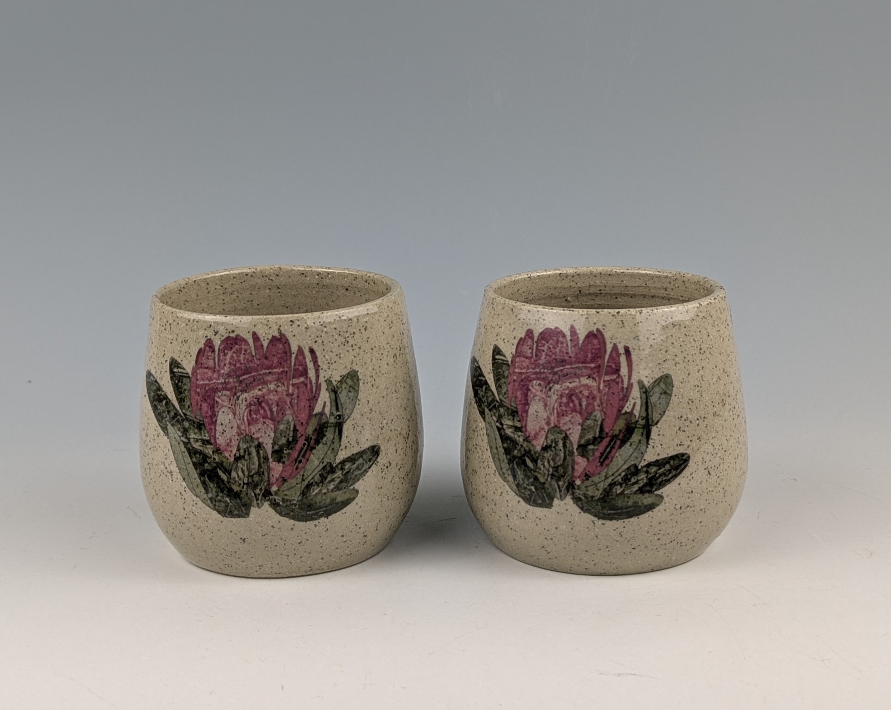 Beaker with protea flower